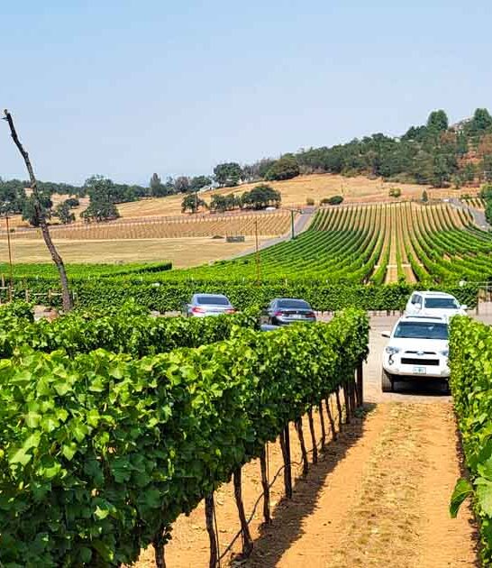 experience europe oregon destinations ftr