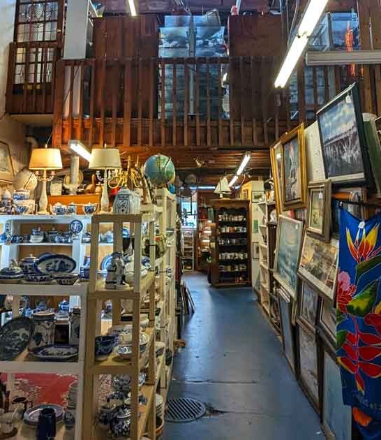 explore store south carolina ftr