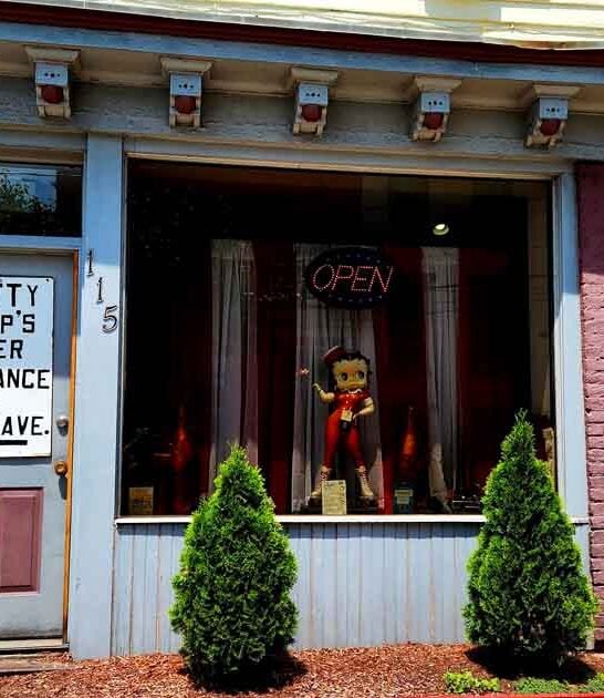 extraordinary restaurants new york ftr