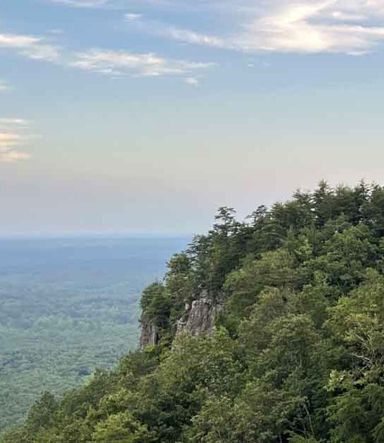 fantastic north carolina park ftr