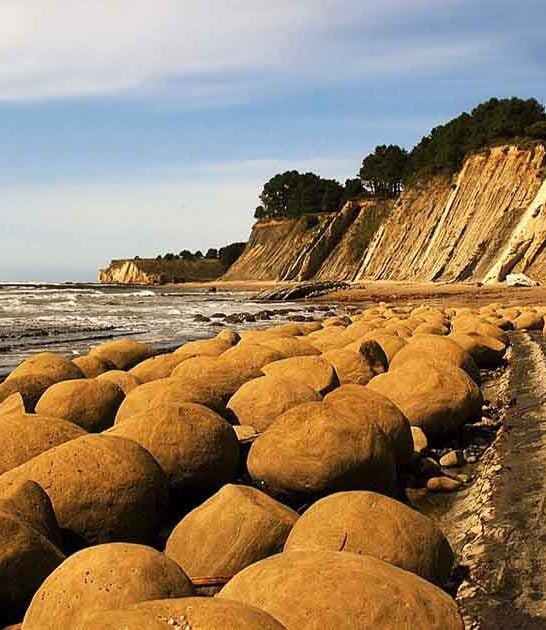 fantasy natural wonders california ftr