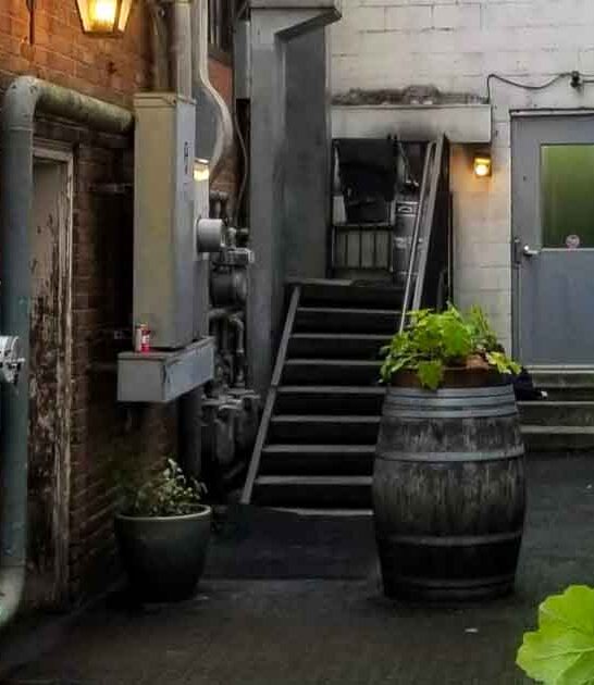 find incredible virginia speakeasy ftr