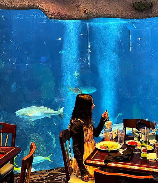 fish magical restaurant colorado ftr