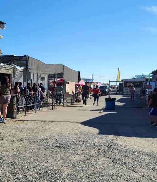 flea market washington deals ftr