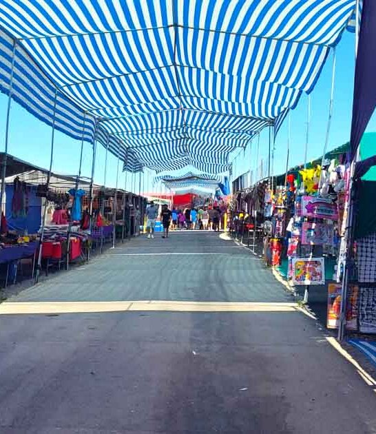 flea market washington treasured ftr