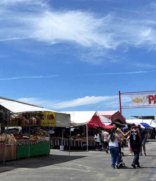 flea markets california thrifty ftr