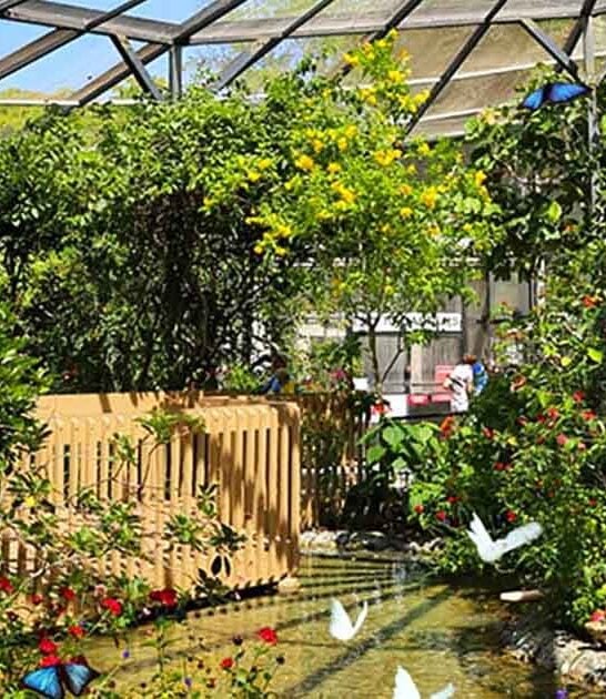 florida best magical places ftr