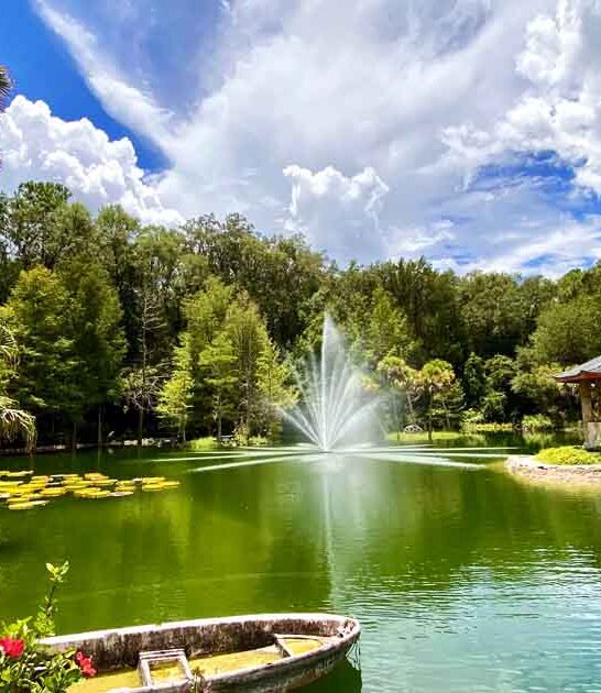 florida botanical garden dreamy ftr