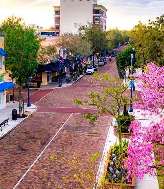 florida fairytale town spot ftr