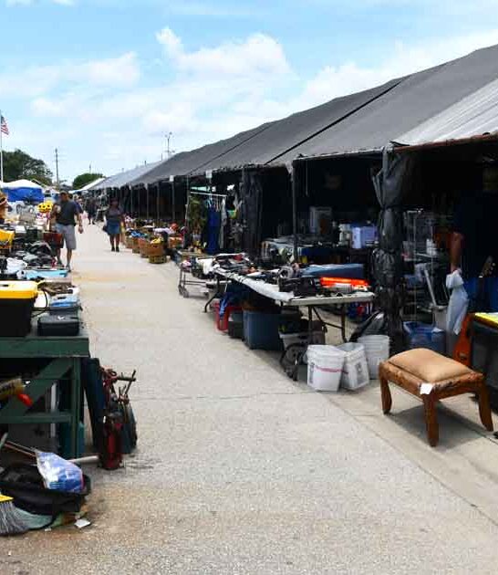 florida flea market paradise ftr
