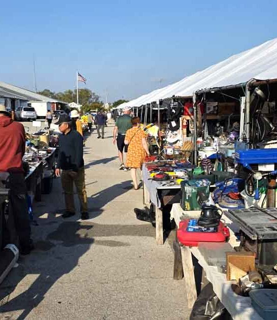 florida flea market trip ftr