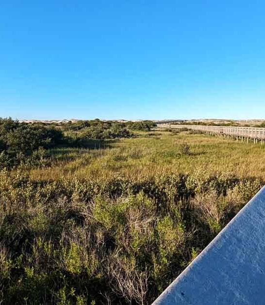 florida gorgeous hikes miles ftr