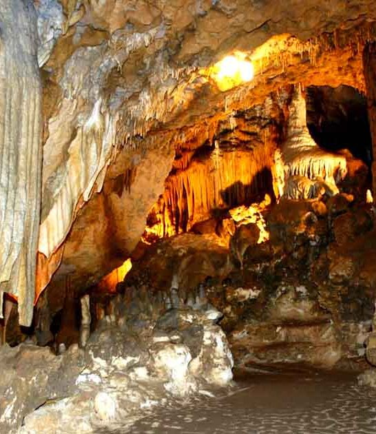 florida incredible underground world ftr