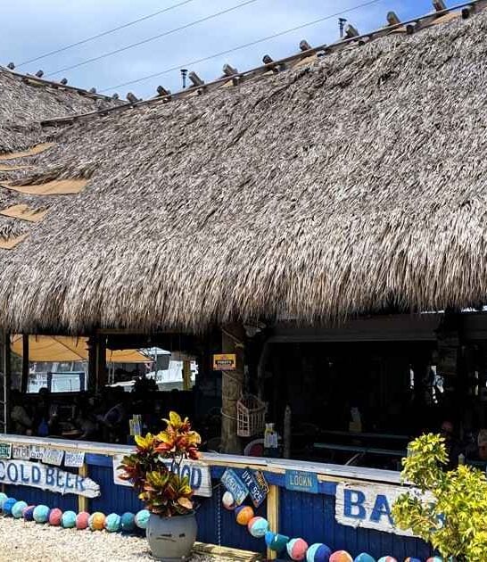 florida legendary lime pie ftr