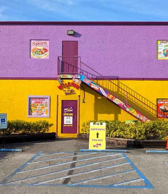 florida magical candy store ftr