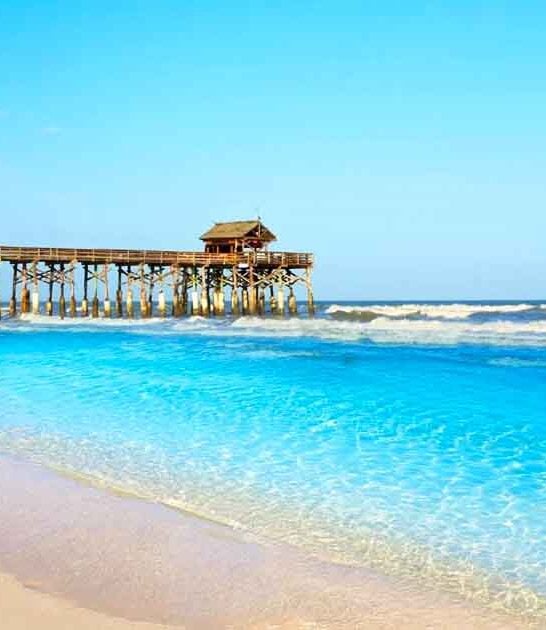florida road trips bank ftr
