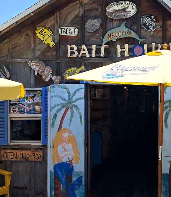 florida shrimp bait shop ftr