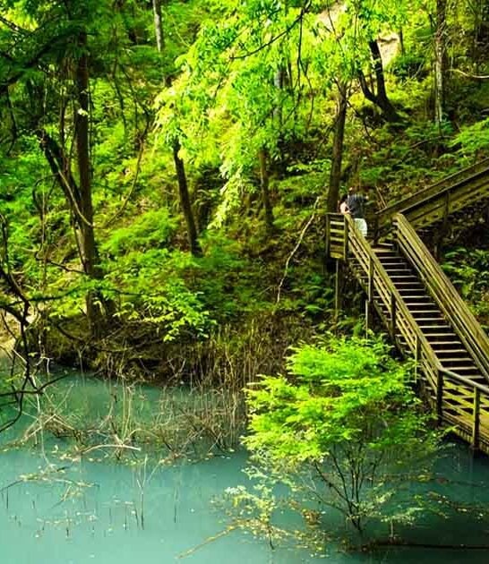 florida surreal natural wonders ftr