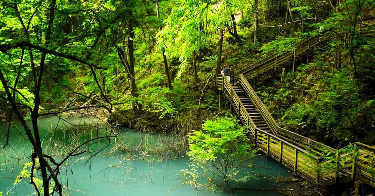 These 7 Natural Wonders In Florida Are So Surreal, You'll Think You're ...