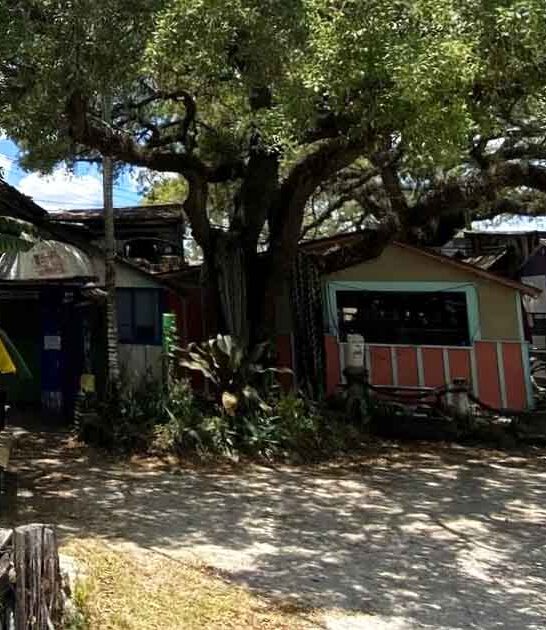 florida unassuming oyster bar ftr