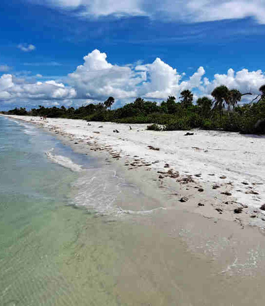 florida underrated nature gem ftr