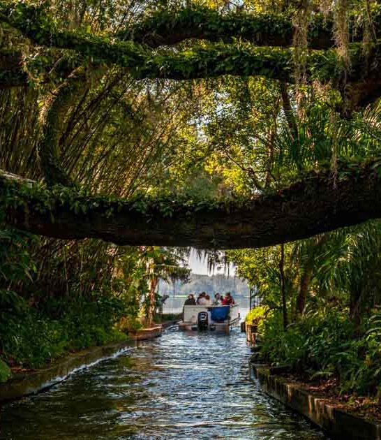 florida unreal hidden attraction ftr