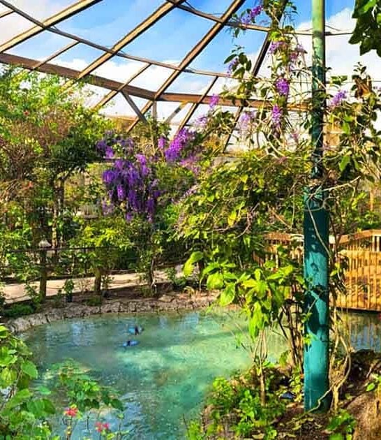 florida whimsical spots ftr