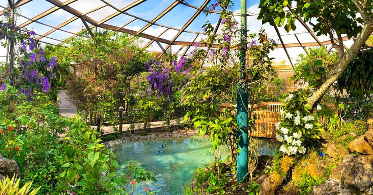 7 Whimsical Florida Spots That Belong On Every Family's Bucket List