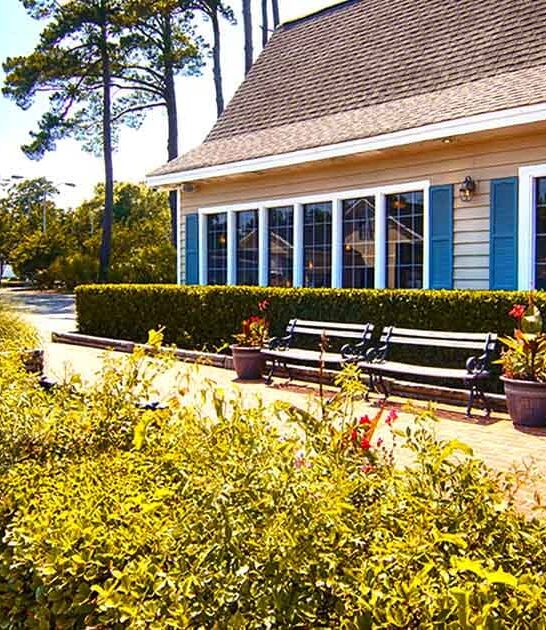 flounder south carolina spot ftr