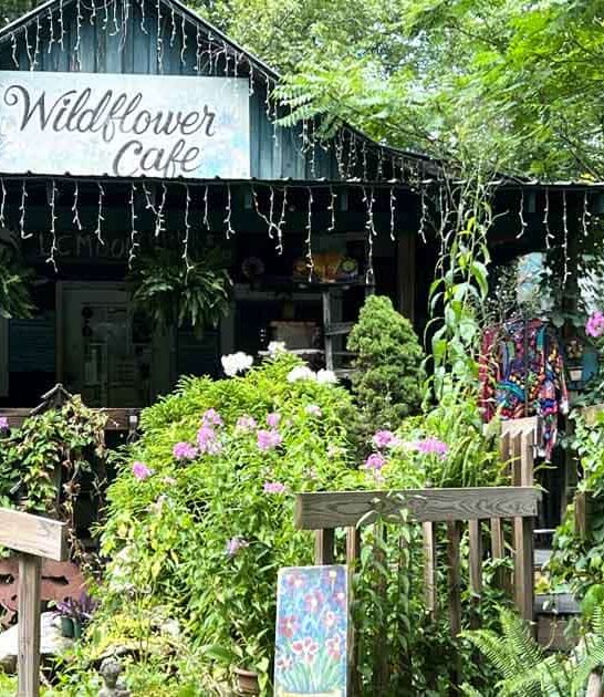 funky mountain cafe alabama ftr