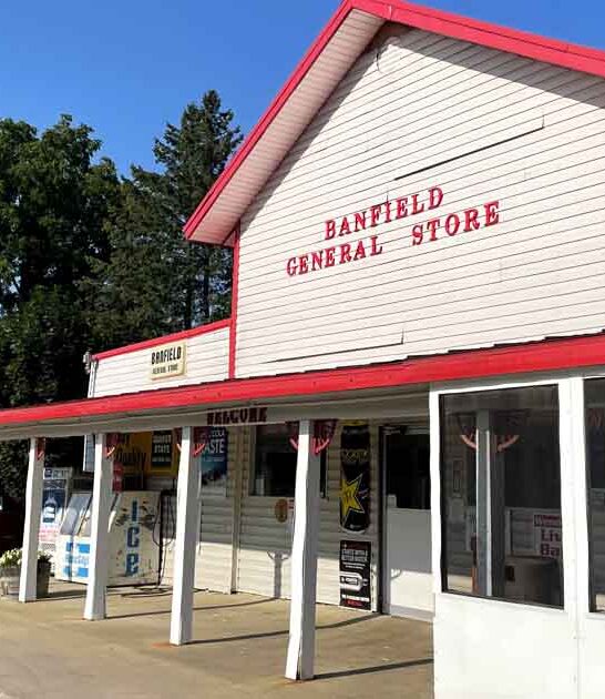 general store michigan pizza ftr