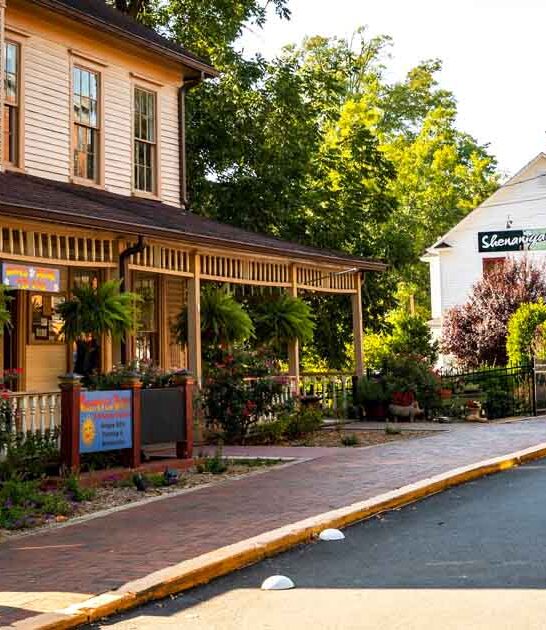georgia adorable hallmark towns ftr