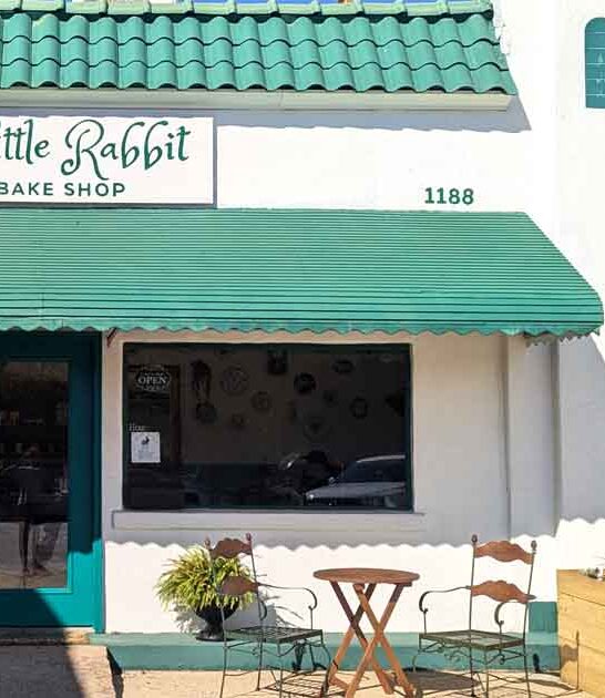 georgia bakery best macarons ftr