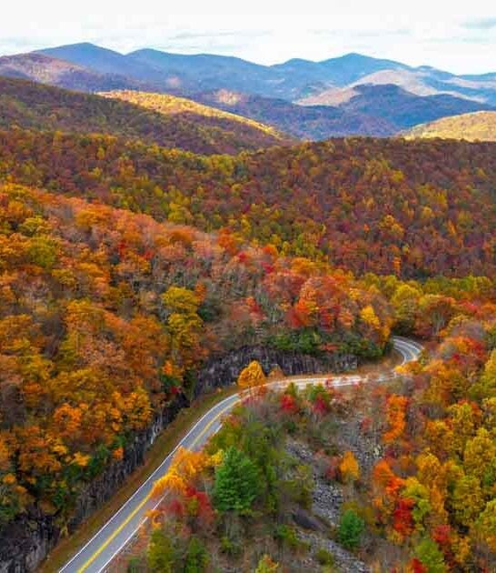 georgia breathtaking scenic roads ftr