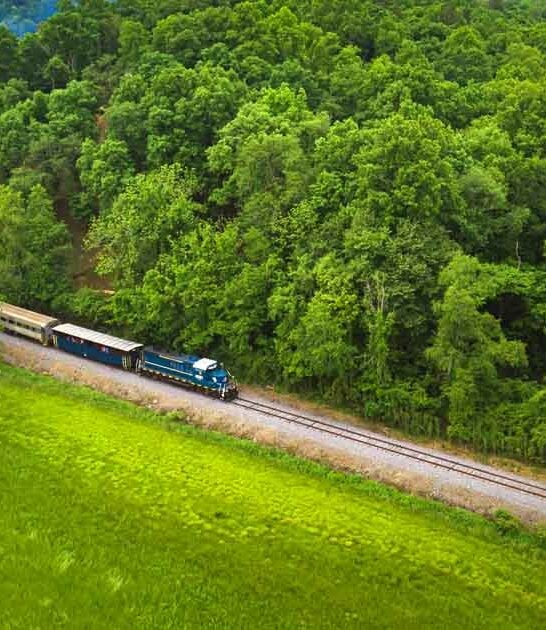 georgia enchanting railway ride ftr