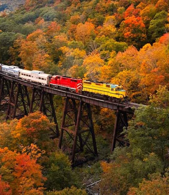 georgia enchanting train ride ftr
