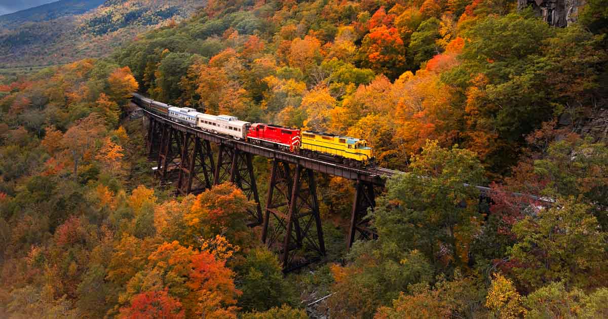 This Enchanting Train Ride In Georgia Will Make You Feel Like You've ...