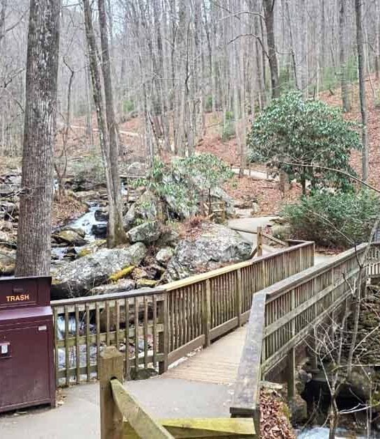 Everyone In Georgia Needs To Take These 7 Gorgeous Hikes That Are All Under 5 Miles