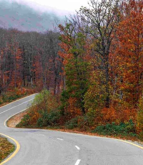 6 Drop-Dead Gorgeous Roads In Georgia That Will Have You Pulling Over Nonstop