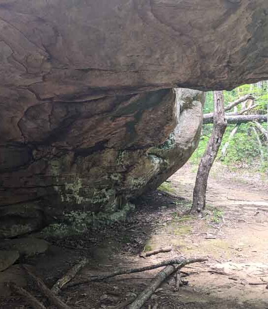 georgia hike stunning ftr