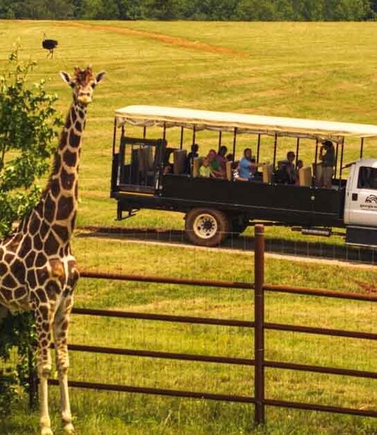 georgia incredible hidden gems ftr