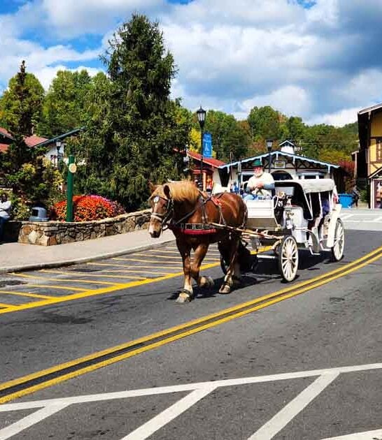 georgia incredible outdoor town ftr