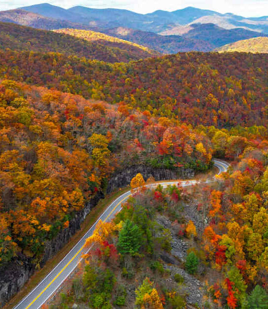 georgia magical free drive ftr