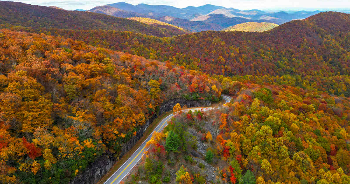 This 40-Mile Georgia Drive That's Totally Free And Absolutely Magical