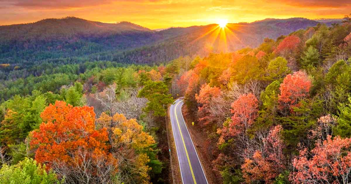 These 6 Picturesque Roads Prove Georgia Has The Most Beautiful Drives ...