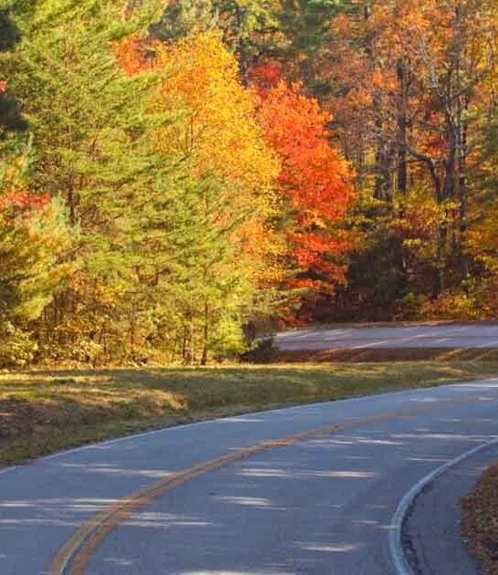 georgia scenic roads tour ftr