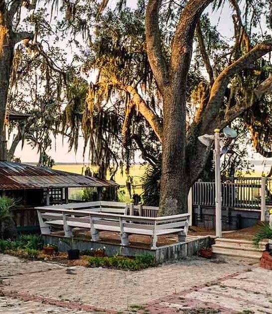 georgia seafood joint crab ftr