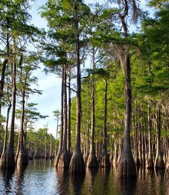 georgia state park fairytale ftr