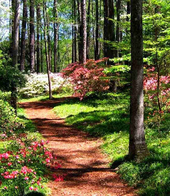 georgia top whimsical spots ftr