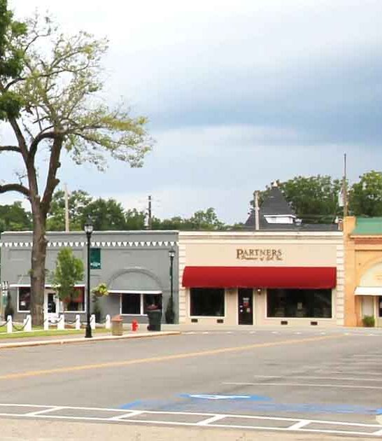 georgia town rent love ftr